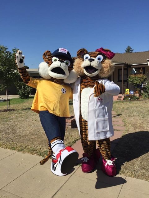 Mascots - Altura Centers For Health